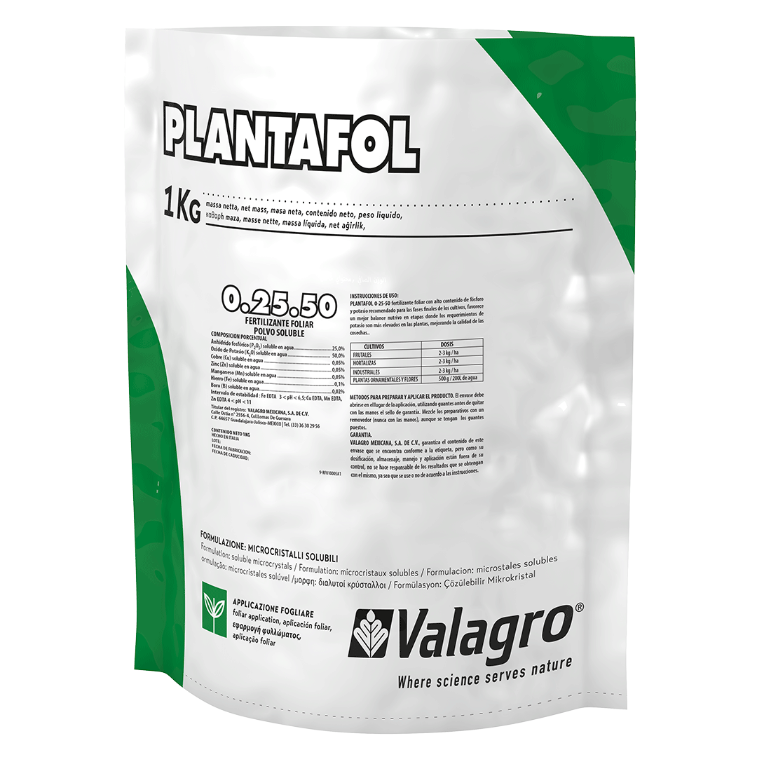 Productos – CorpoGreen S.A.